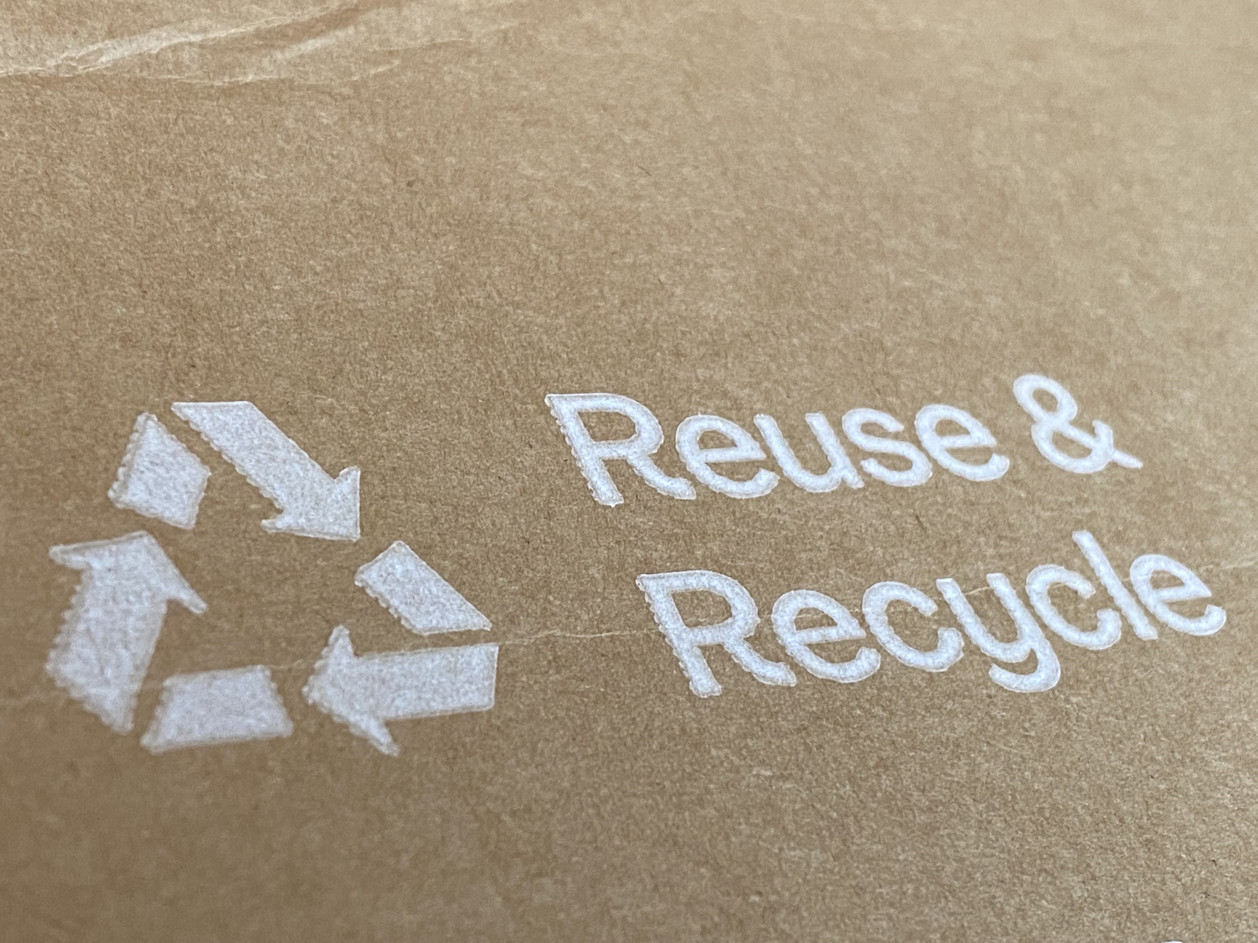 Search for green start-ups: Amazon unveils sustainability accelerator ...