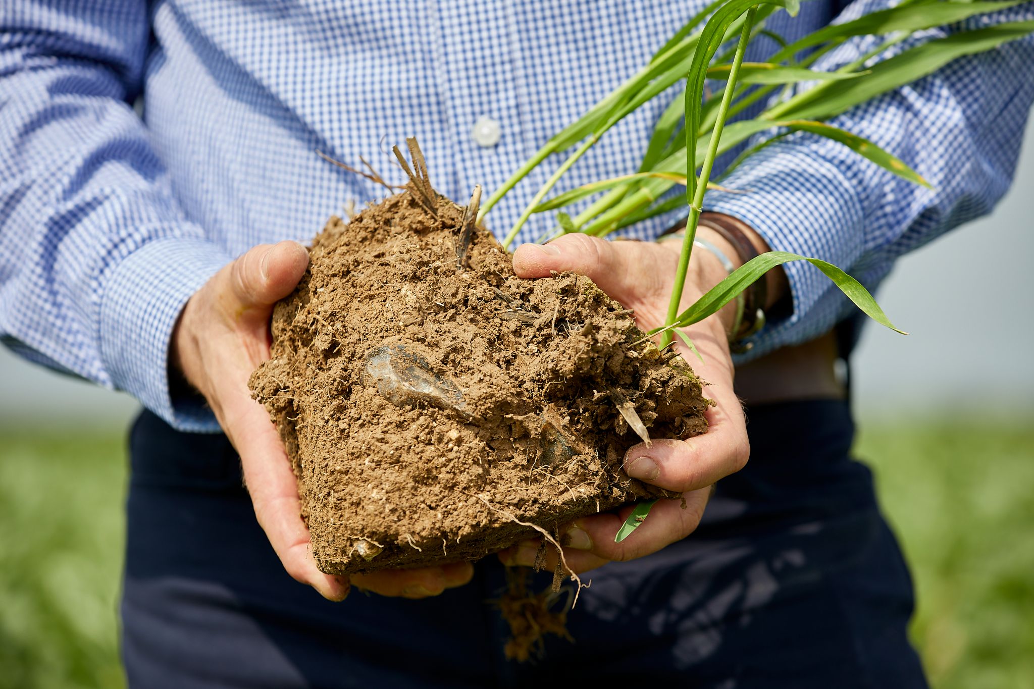 Net zero farms: Waitrose supports British farmers with £500,000 fund
