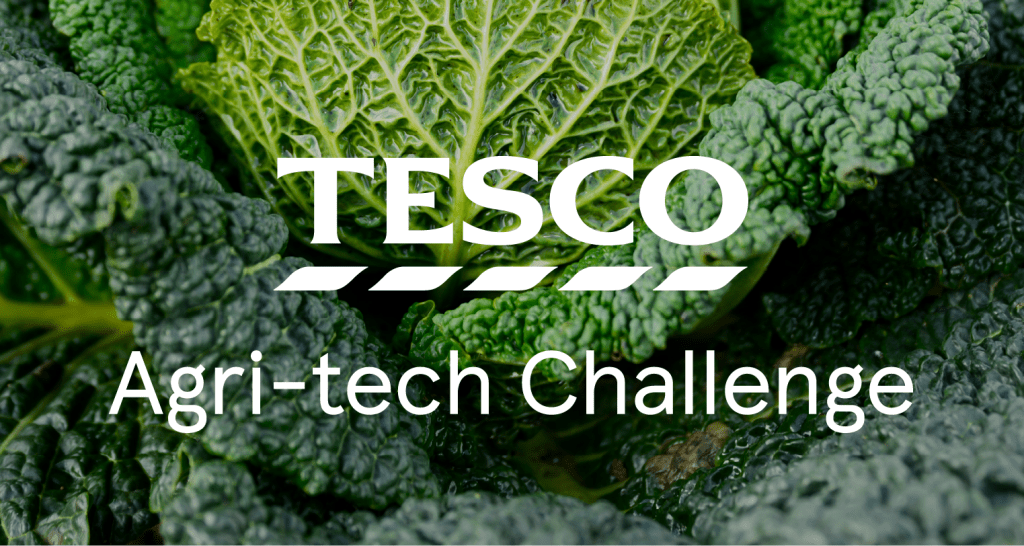 Calling agri tech businesses: Tesco launches annual farming innovation ...