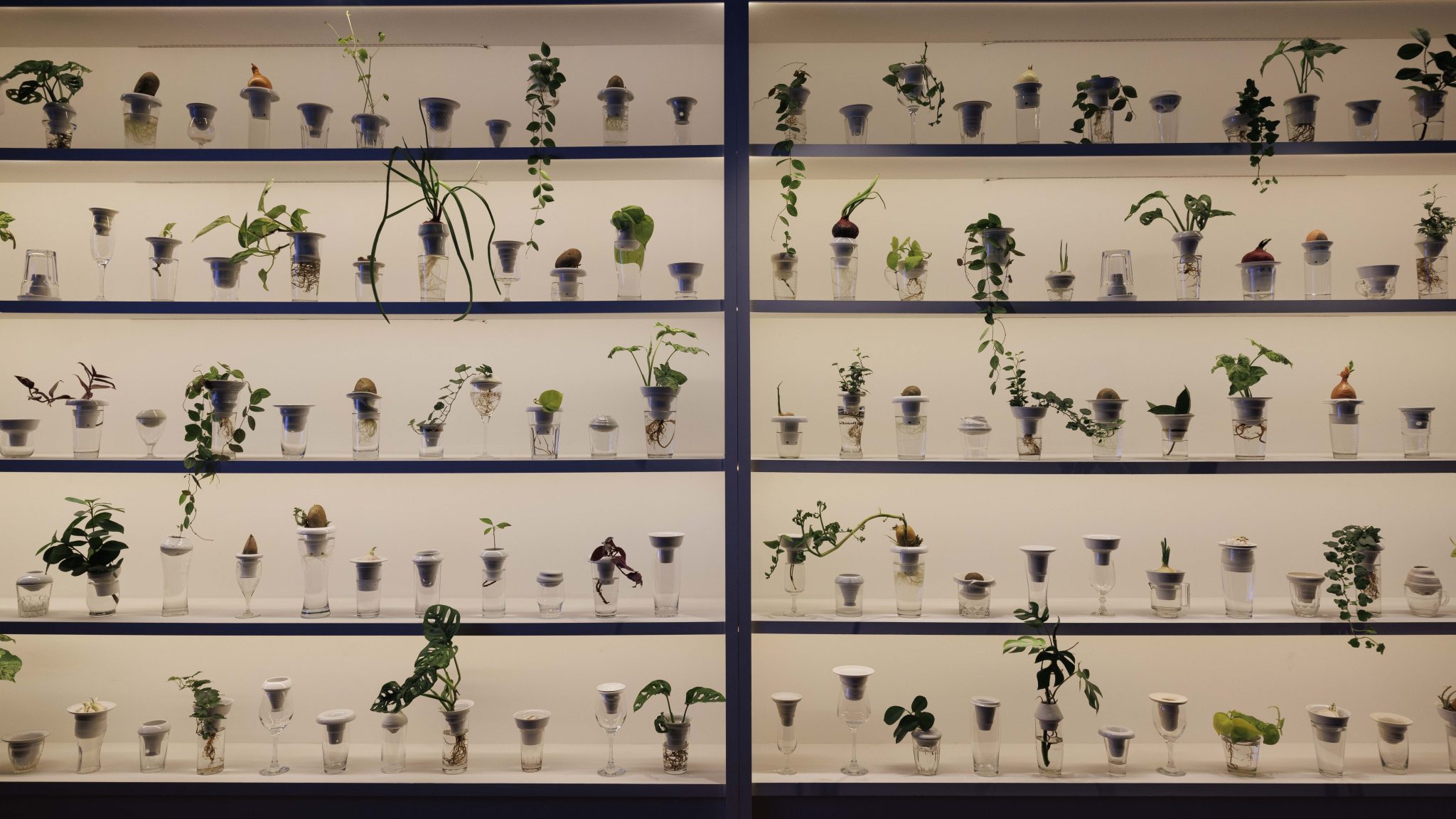 Food sustainability: Urban Farmer Project opens in the City of London